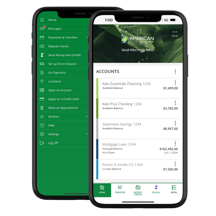 Hawaii Banking, Checking, Savings, Mortgages, Loans & Lines | American ...