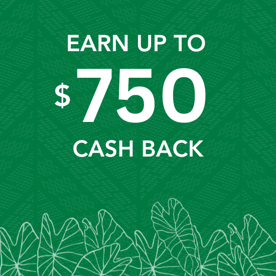 Hawaii Banking, Checking, Savings, Mortgages, Loans & Lines | American ...